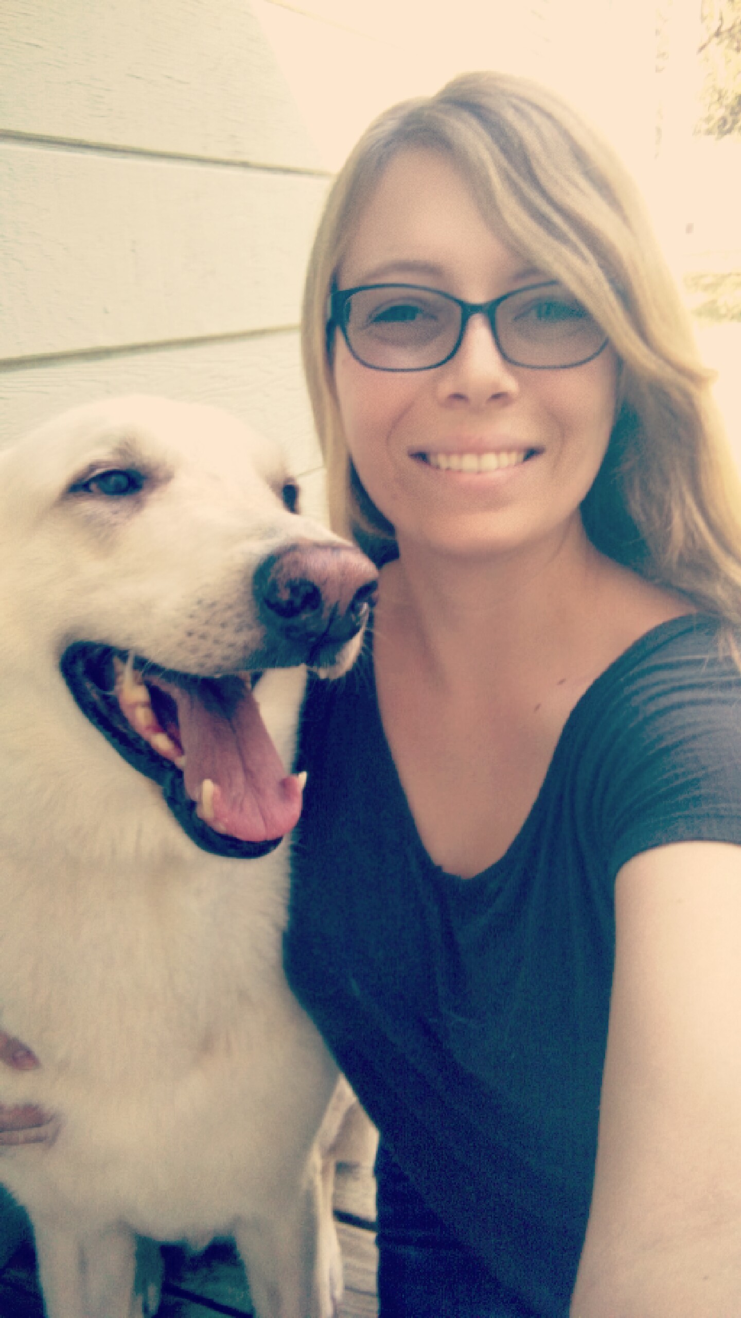 Dog Trainers | OLK9, Georgia Certified Dog Trainers